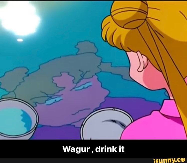Wagur memes. Best Collection of funny Wagur pictures on iFunny