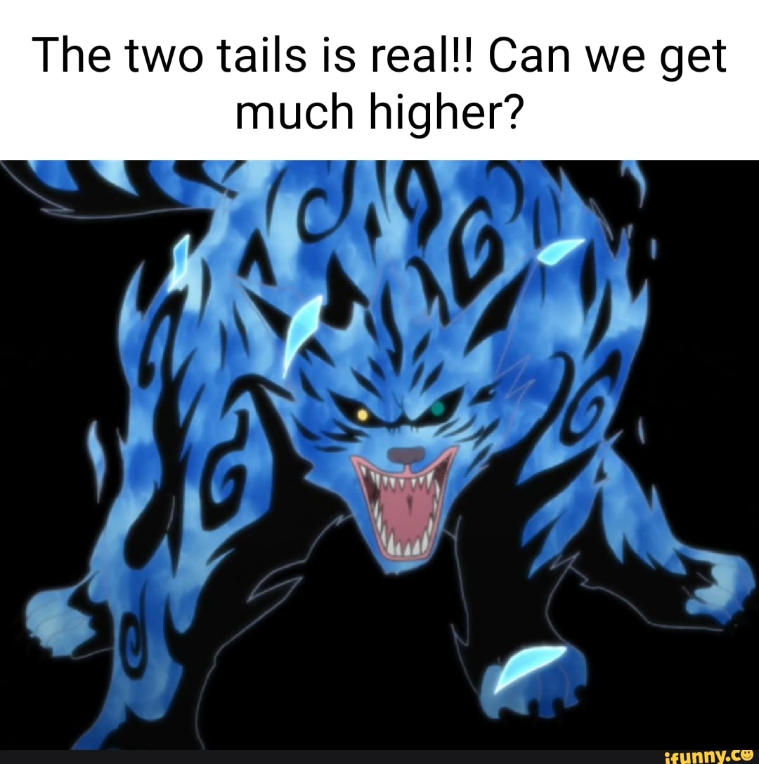The two tails is real!! Can we get much higher? I - iFunny