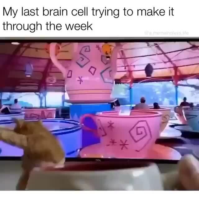 My last brain cell trying to make it through the week - )