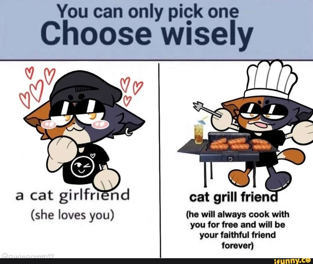 You can only pick one Choose wisely a cat girlfriend cat grill friend ...