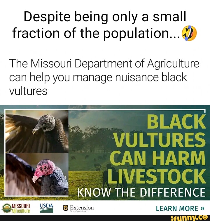 Vultures memes. Best Collection of funny Vultures pictures on iFunny