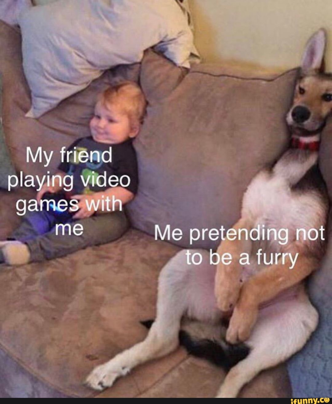 Furtastic memes. Best Collection of funny Furtastic pictures on iFunny