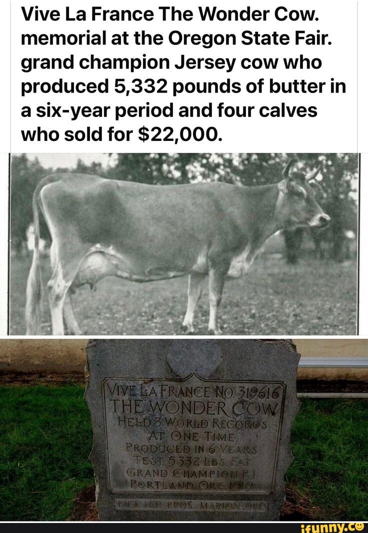 Who remembers this race - iFunny