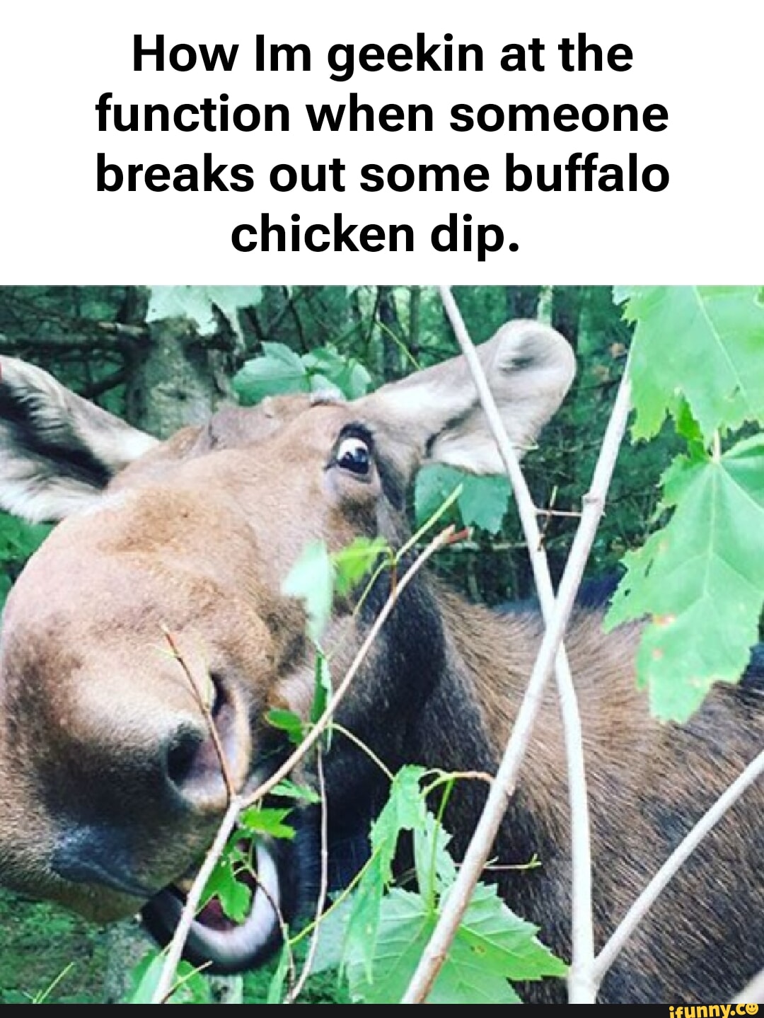 Dip memes. Best Collection of funny Dip pictures on iFunny