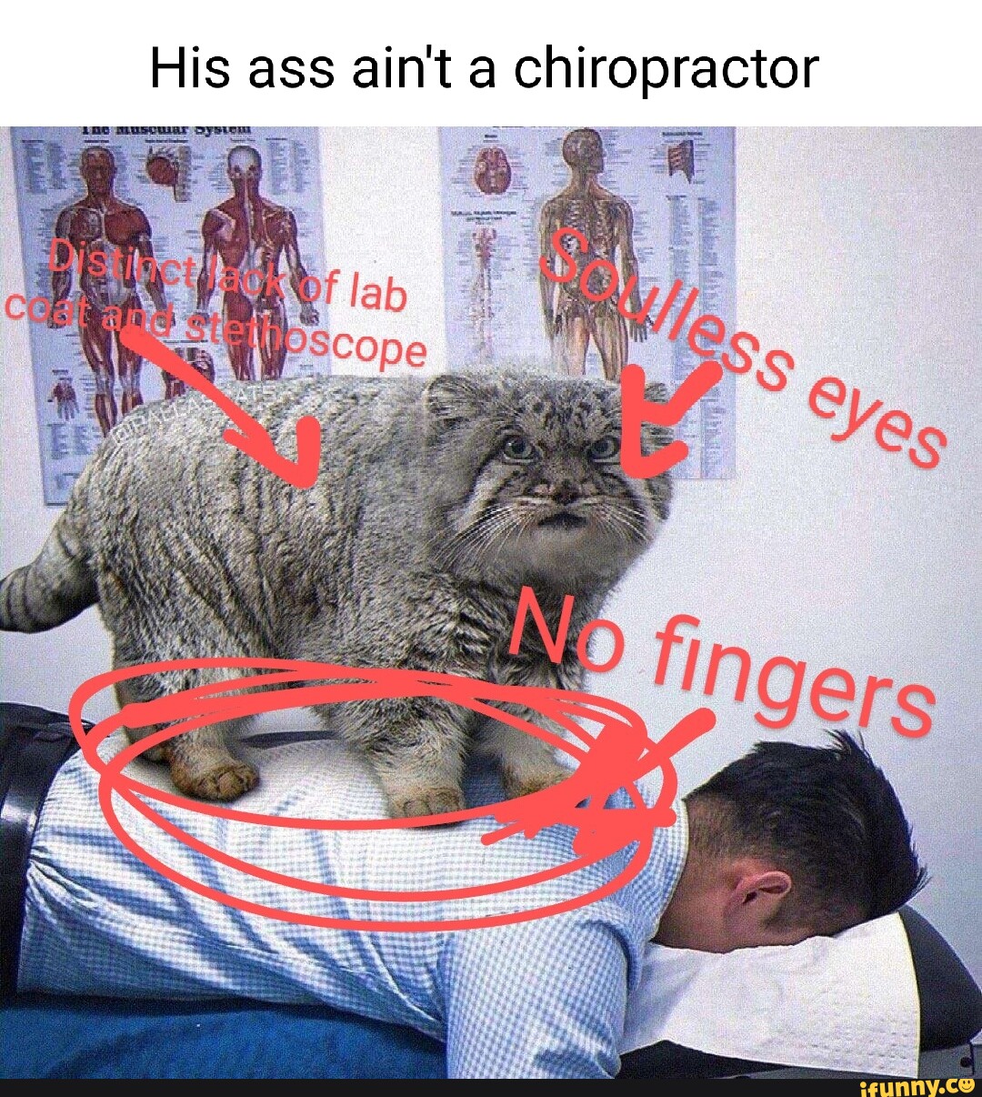 Chiropractor memes. Best Collection of funny Chiropractor pictures on ...