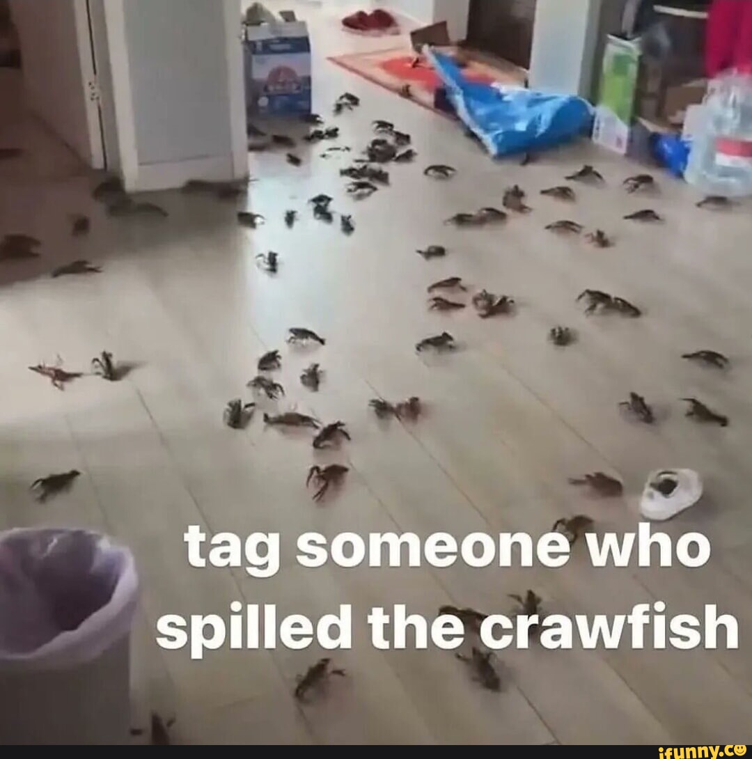By tag someone who spilled the crawfish - iFunny