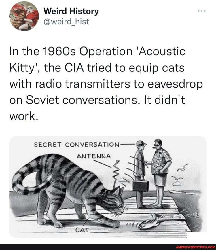 @weird_hist In the 1960s Operation 'Acoustic Kitty', the CIA tried to ...