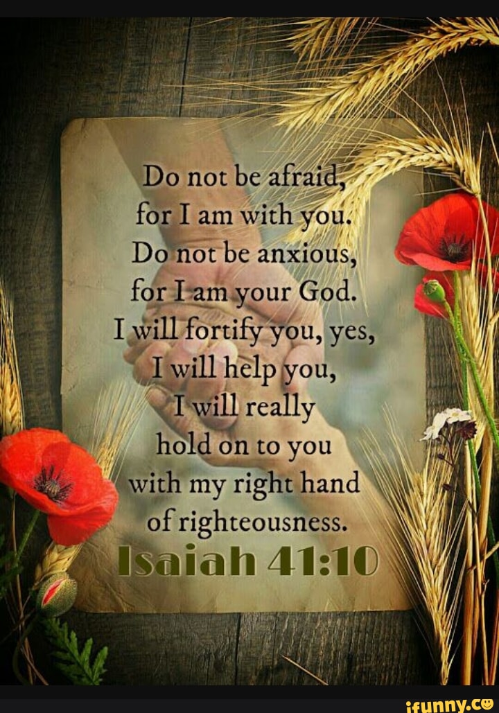 Fortify memes. Best Collection of funny Fortify pictures on iFunny