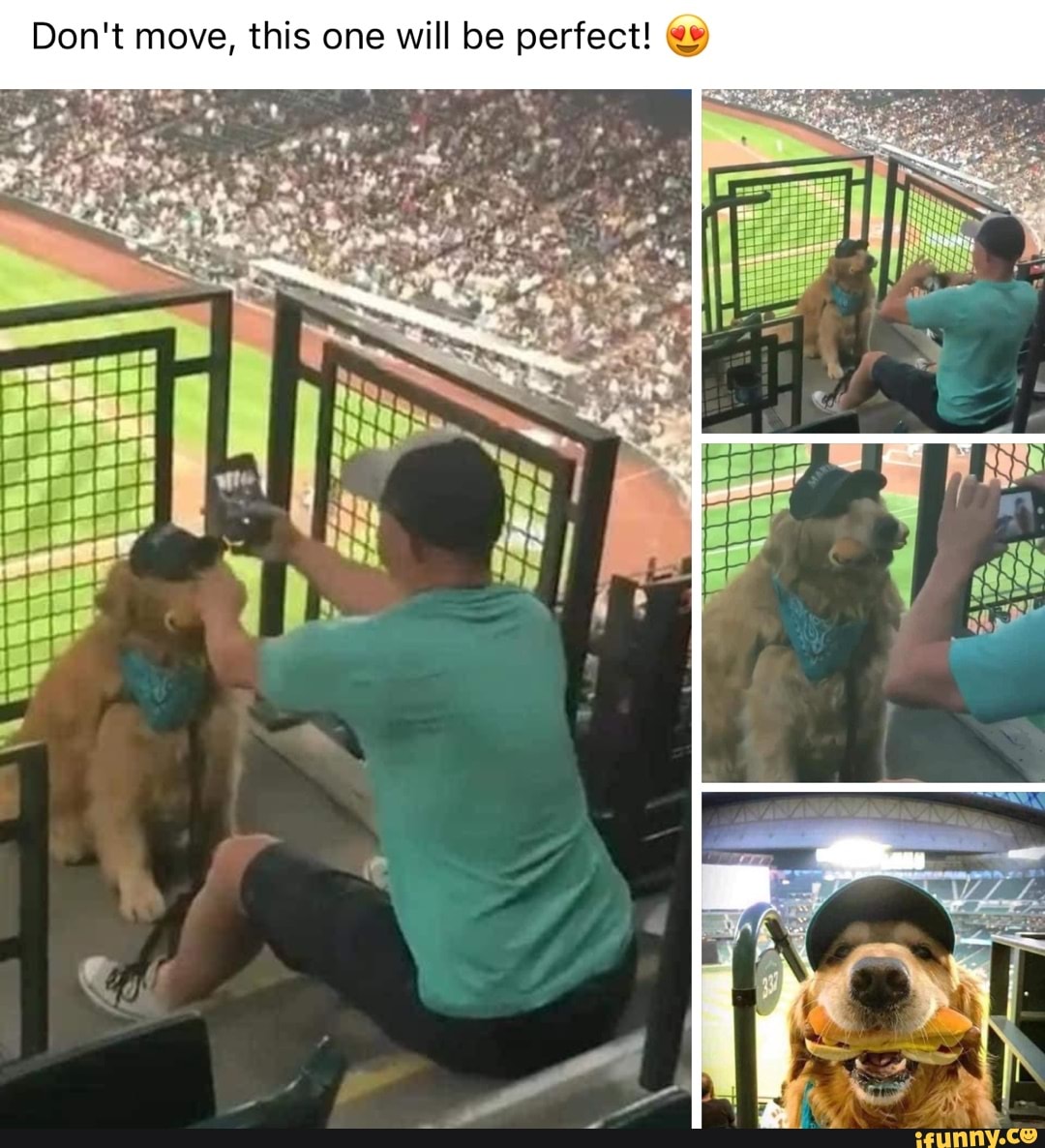 FINDING AROUND As you can see, the gap is narrowing... memes meams - )