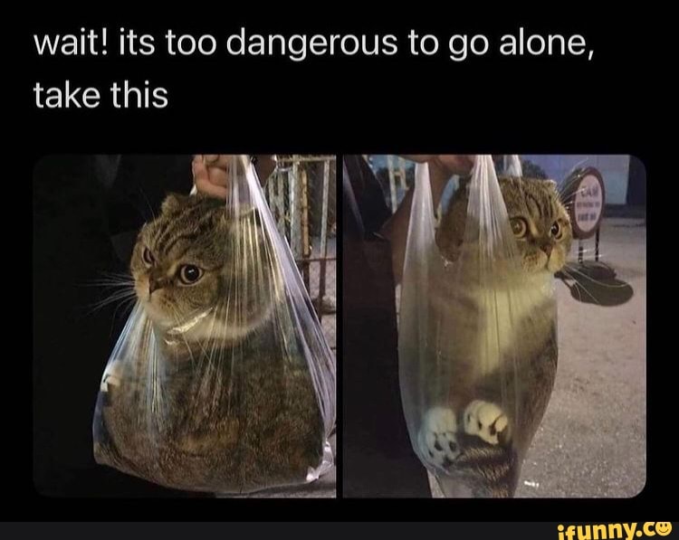 Wait! its too dangerous to go alone, take this - iFunny