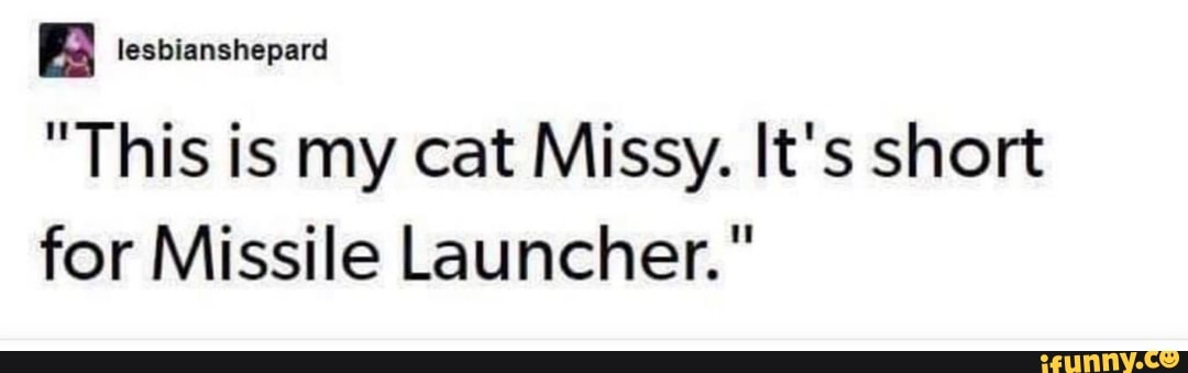 Missilelauncher memes. Best Collection of funny Missilelauncher ...