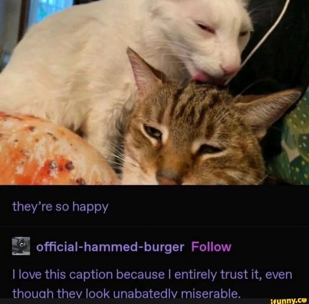 Tumblrpost memes. Best Collection of funny Tumblrpost pictures on iFunny
