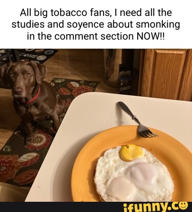 All big tobacco fans, I need all the studies and soyence about smonking ...