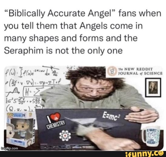 "Biblically Accurate Angel" fans when you tell them that Angels come in ...