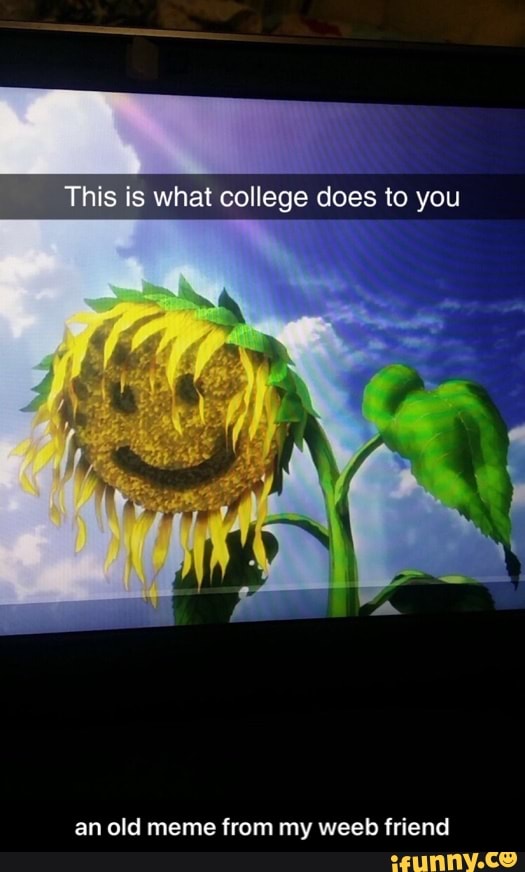 An old meme from my weeb friend - an old meme from my weeb friend - iFunny