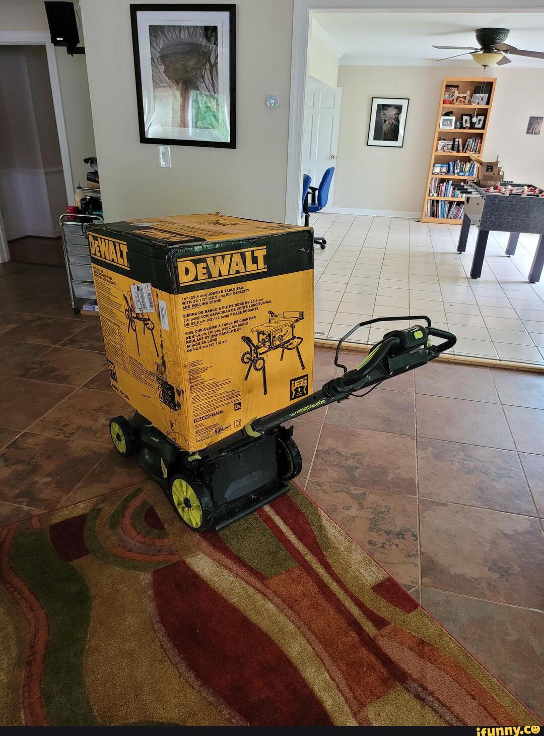 Dolly memes. Best Collection of funny Dolly pictures on iFunny