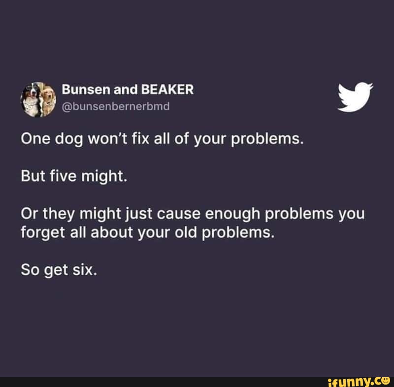 Bunsen memes. Best Collection of funny Bunsen pictures on iFunny