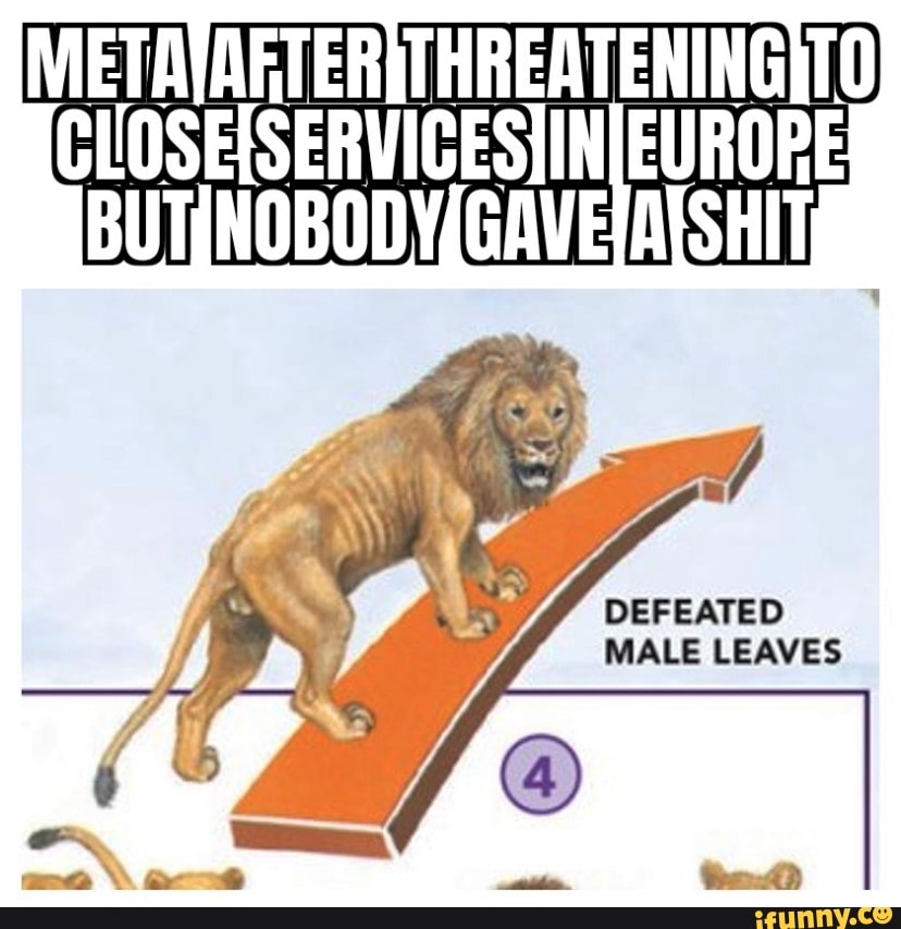 ~DEFEATED MALE LEAVES - iFunny