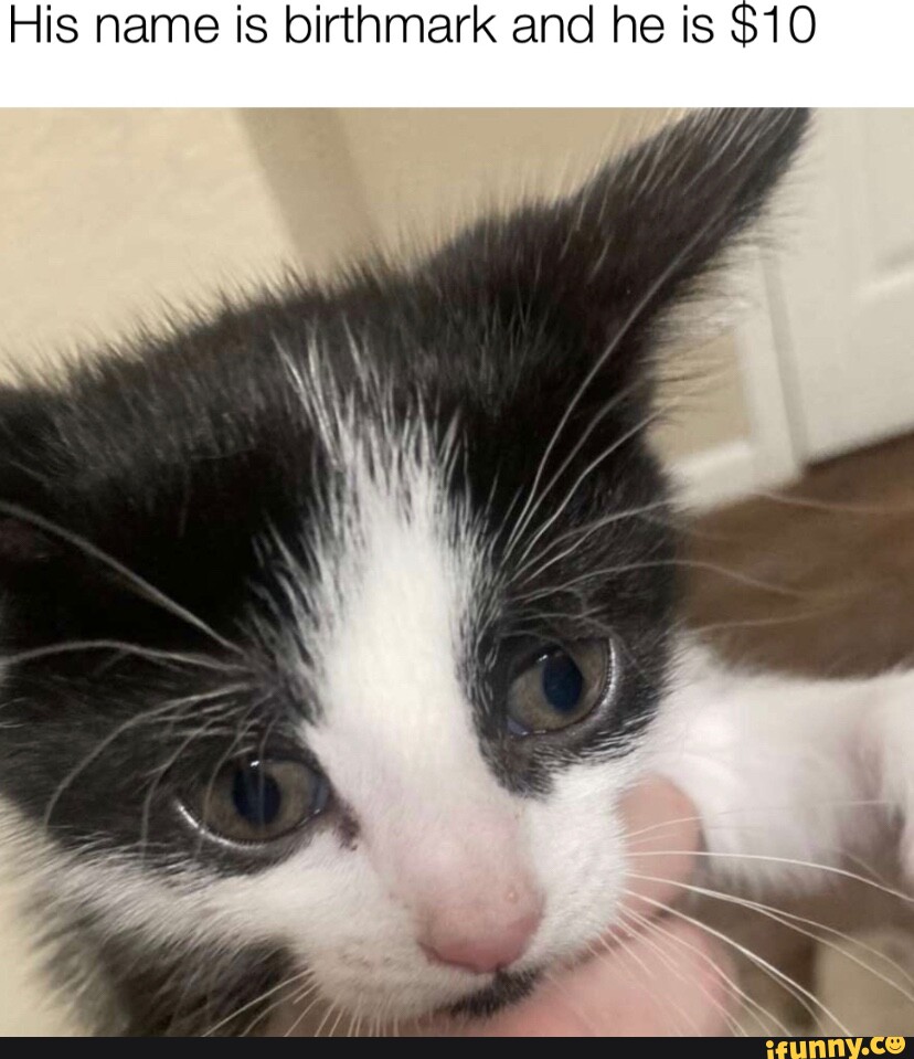 His name is birthmark and he is $10 - iFunny