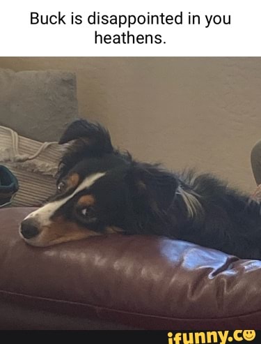 Heathens memes. Best Collection of funny Heathens pictures on iFunny