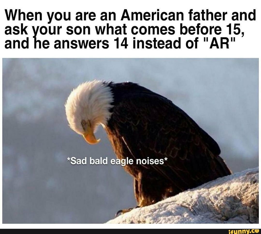 When you are an American father and ask your son what comes before 15, and he answers 14 instead ...