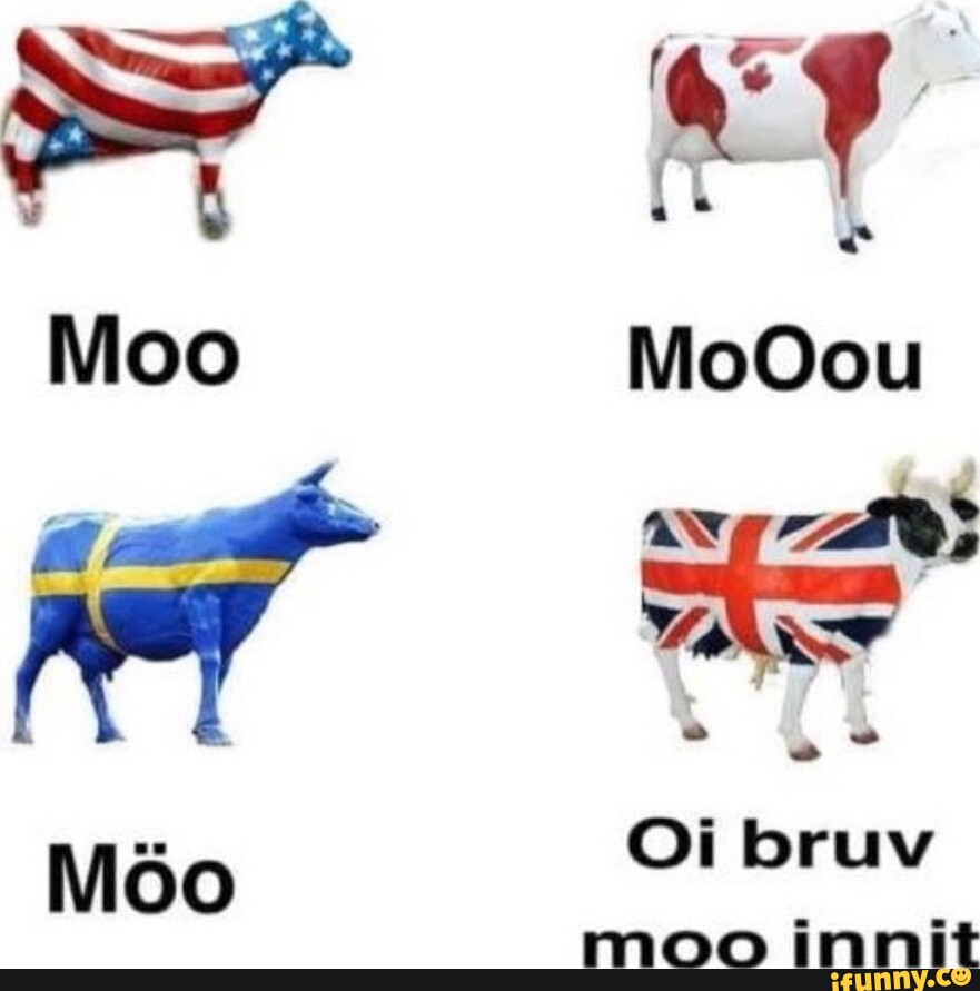 Moo MoOou ay, rae WA Oi bruv moo innit - iFunny