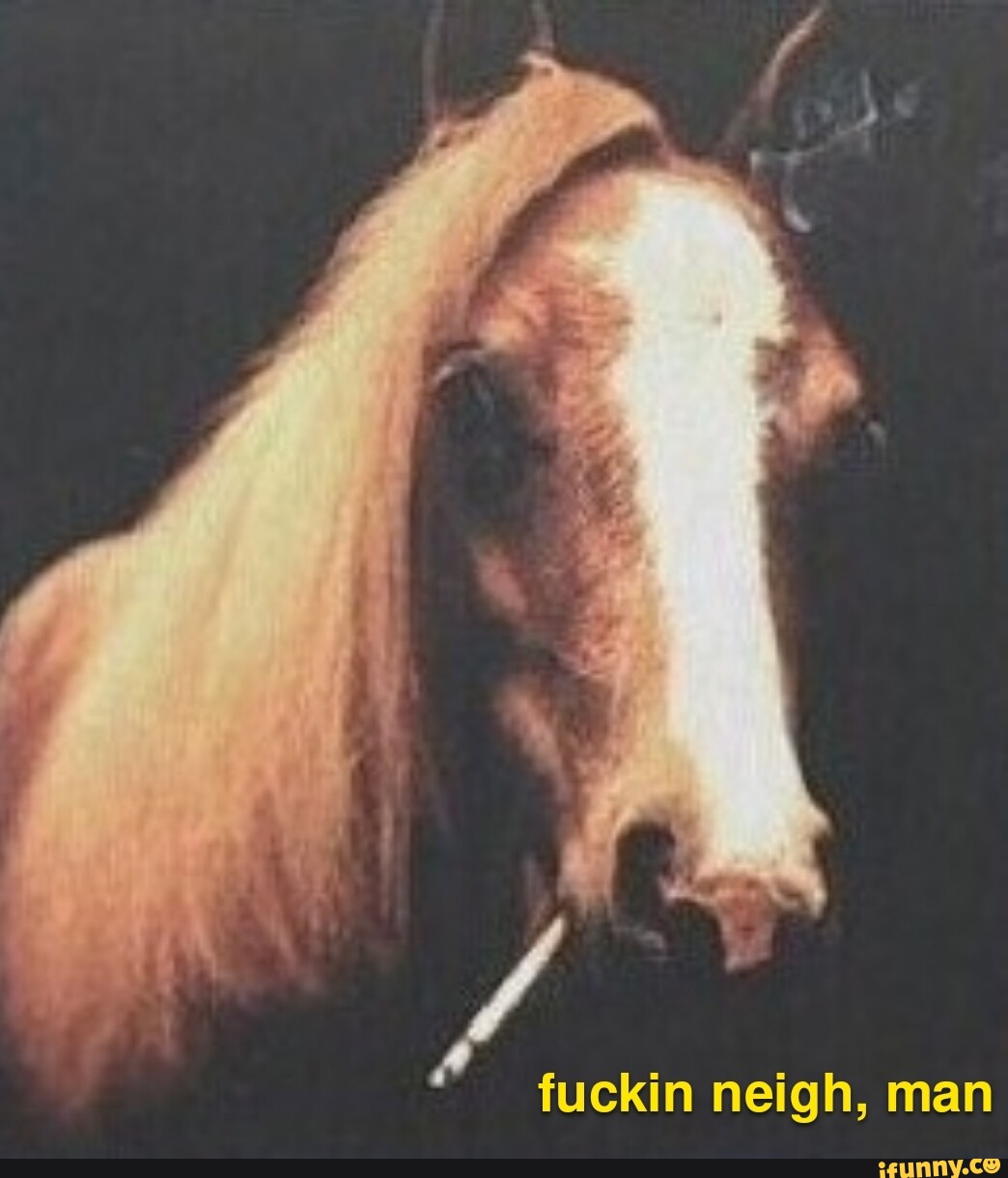 Neigh memes. Best Collection of funny Neigh pictures on iFunny