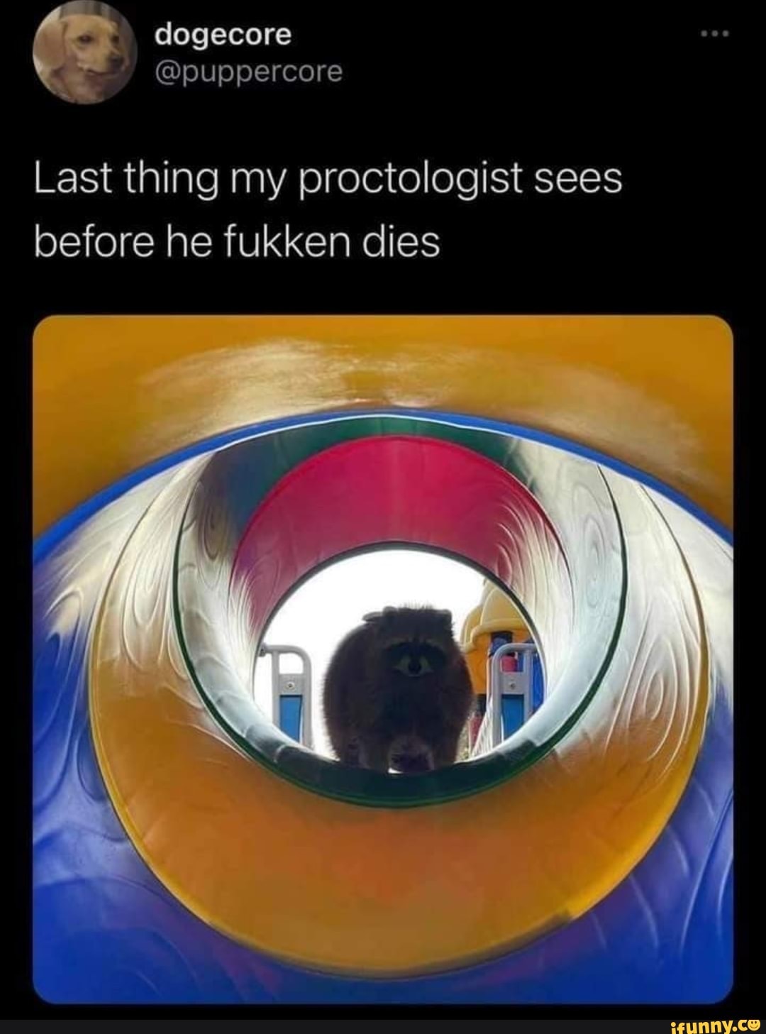 Dogecore memes. Best Collection of funny Dogecore pictures on iFunny