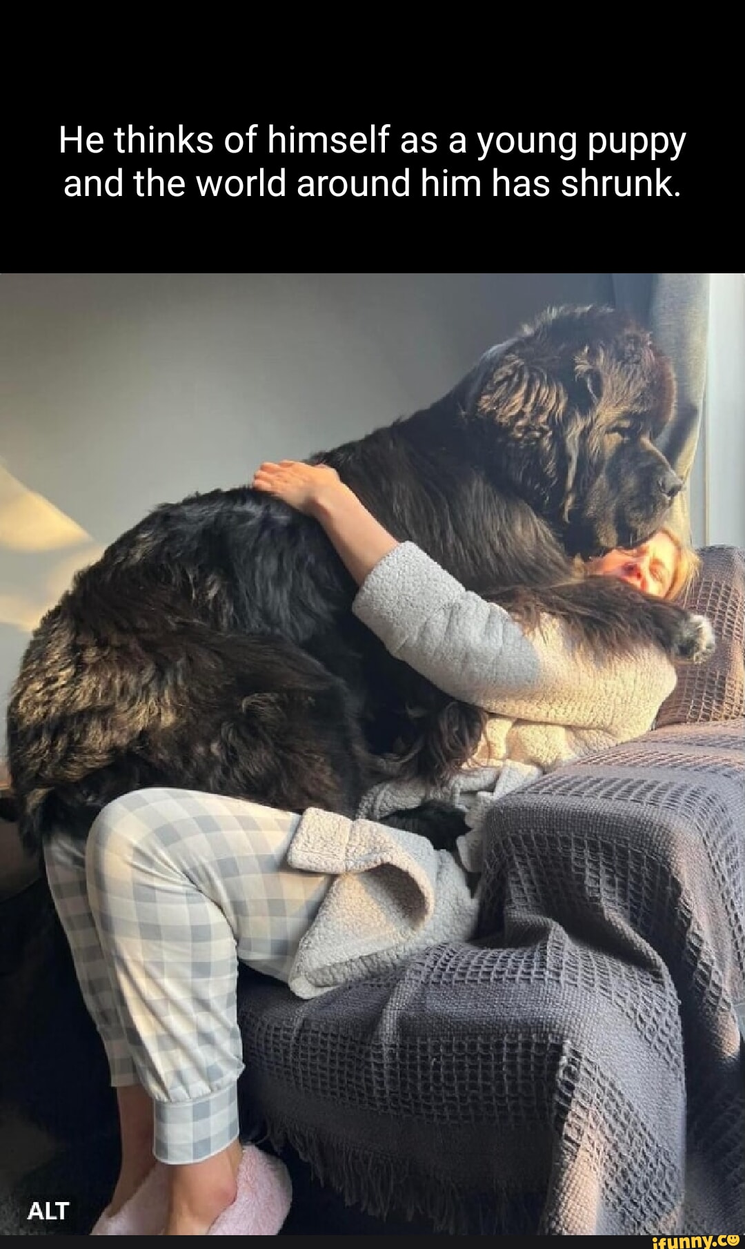 Shrunk memes. Best Collection of funny Shrunk pictures on iFunny