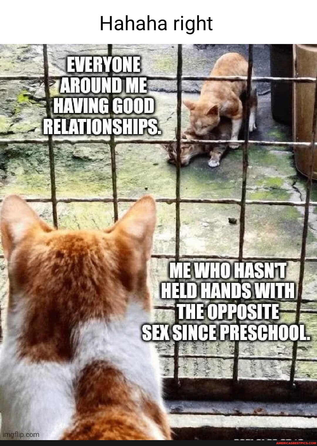 Sex Memes Best Collection Of Funny Sex Pictures On Americas Best Pics