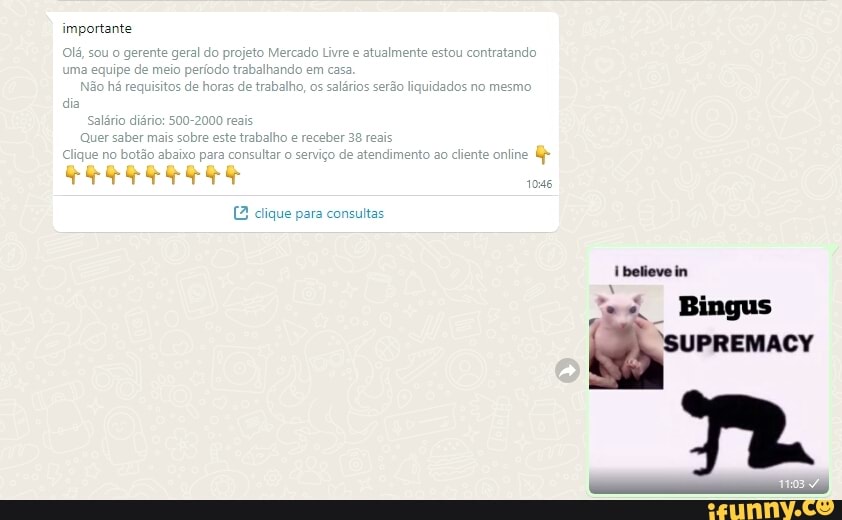 Importante clique para consultas Bingus 'SUPREMACY - )