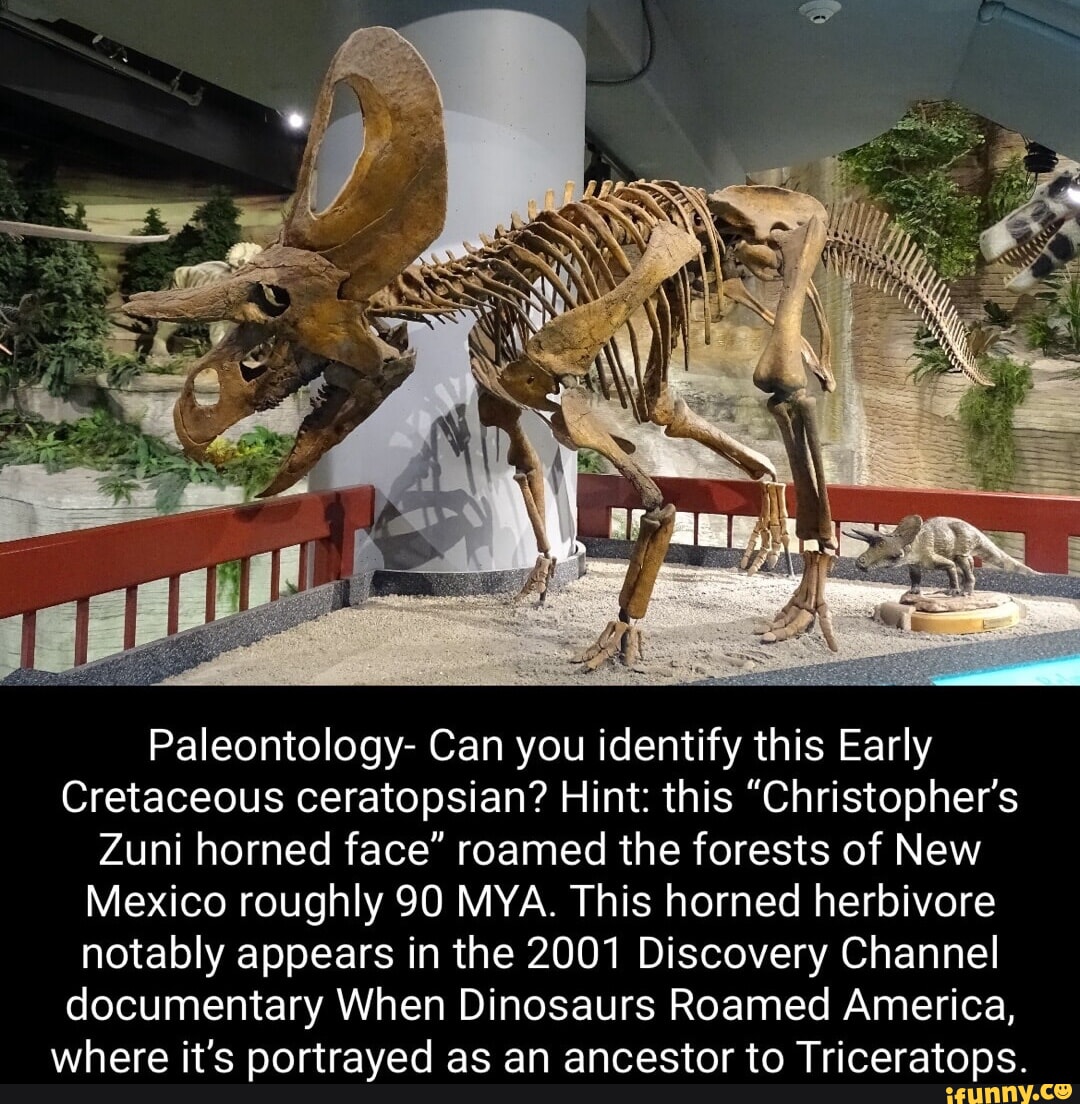 Paleontology- Can you identify this Early Cretaceous ceratopsian? Hint ...