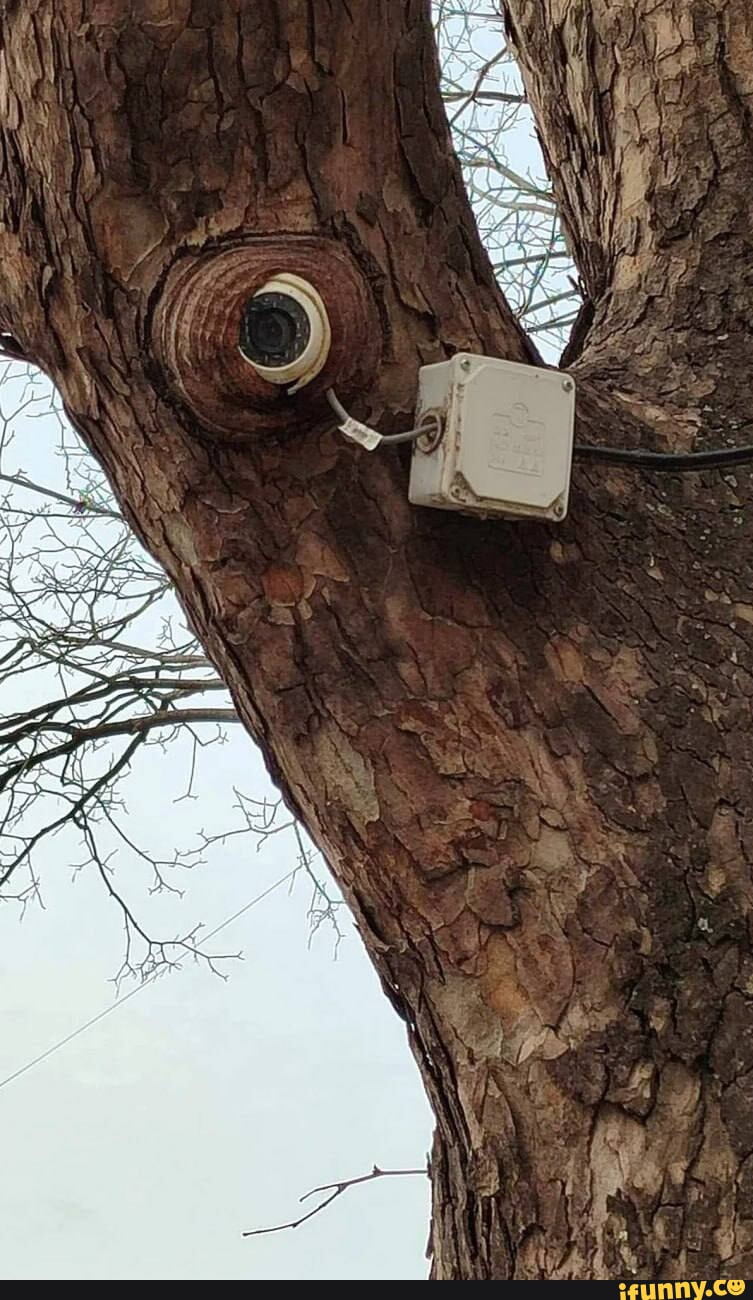 Surveillance memes. Best Collection of funny Surveillance pictures on ...