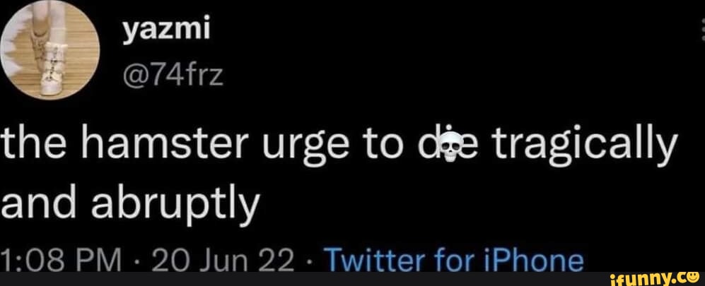 Yazmi the hamster urge to tragically and abruptly PM - 20 Jun 22 ...