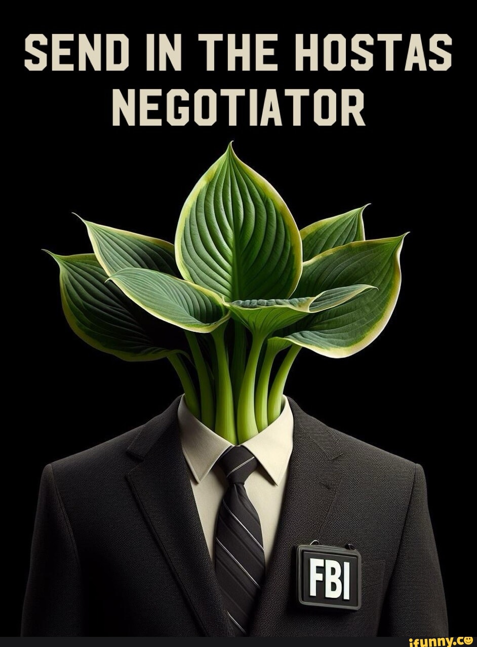 Negotiator memes. Best Collection of funny Negotiator pictures on iFunny