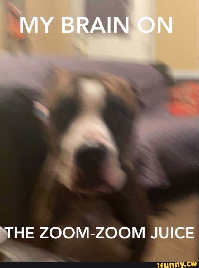 MY BRAIN ON THE ZOOM-ZOOM JUICE - iFunny