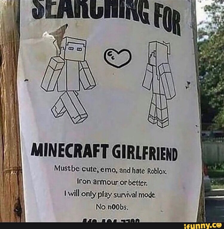 MINECRAFT GIRLFRIEND Mustbe cute; emo, and hate Roblox, Iron armour or ...