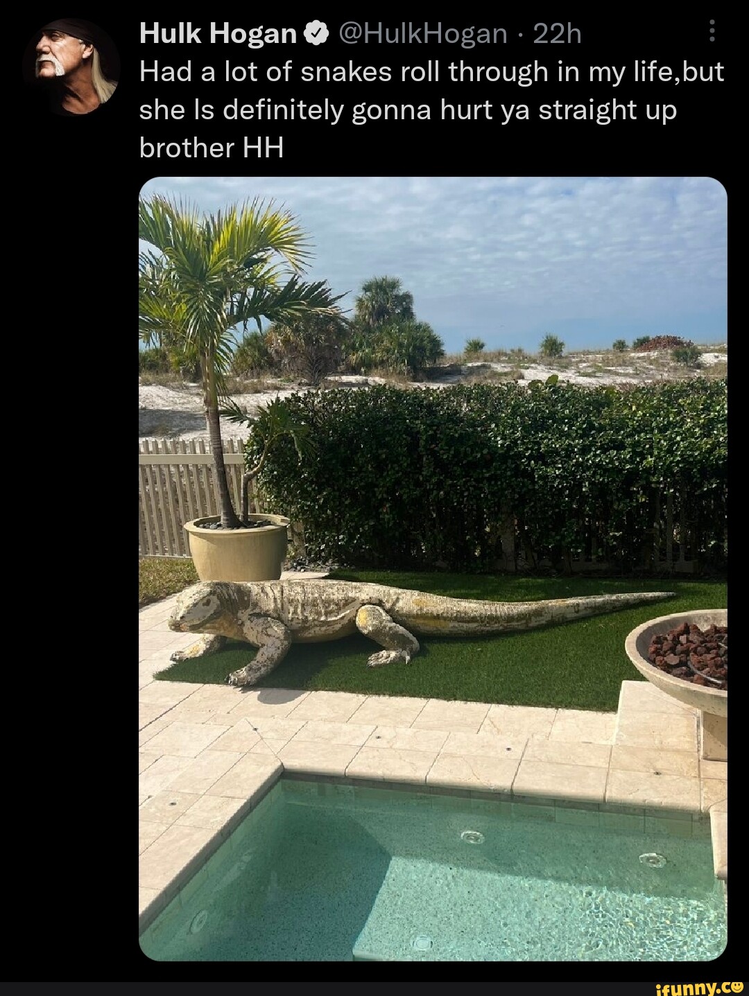 Hulk Hogan @ @HulkHogan Had a lot of snakes roll through in my life ...