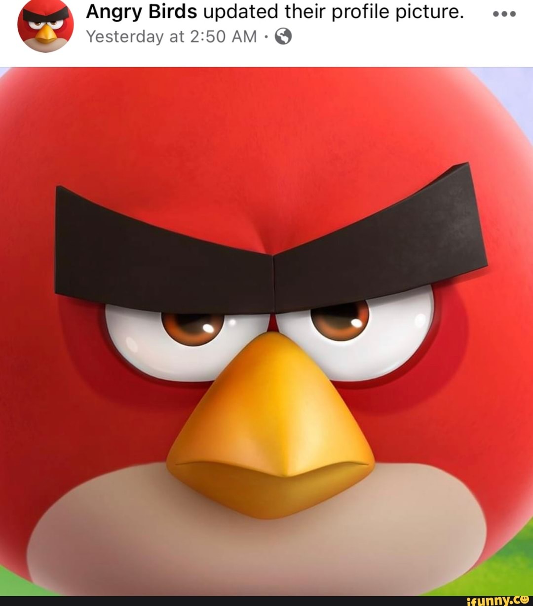 Angry Birds updated their profile picture. Yesterday at AM - iFunny