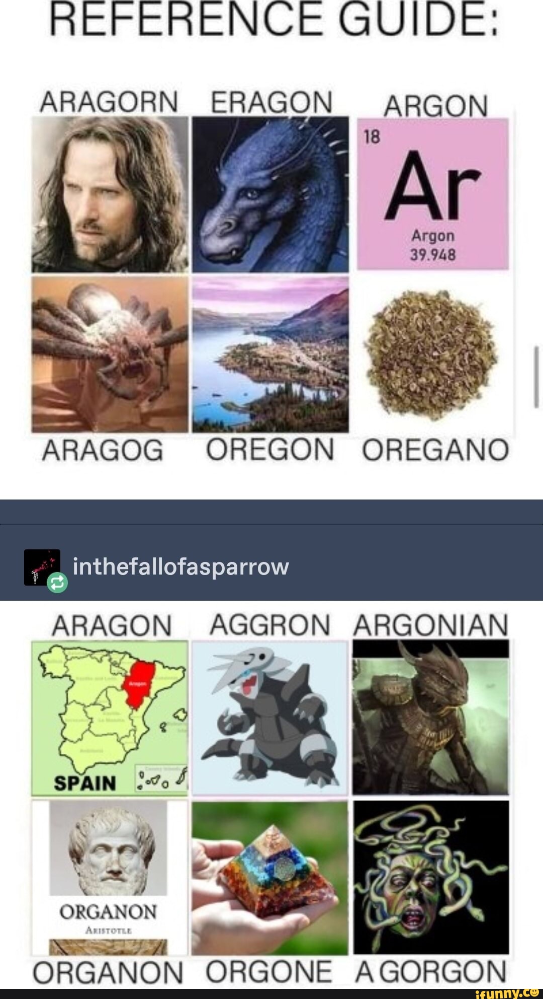 Aragog memes. Best Collection of funny Aragog pictures on iFunny