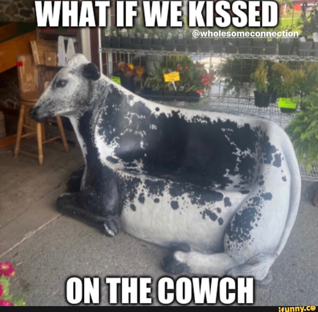 WHAT IF WE KISSED @wholesomeconnection ON THE COWCH - iFunny
