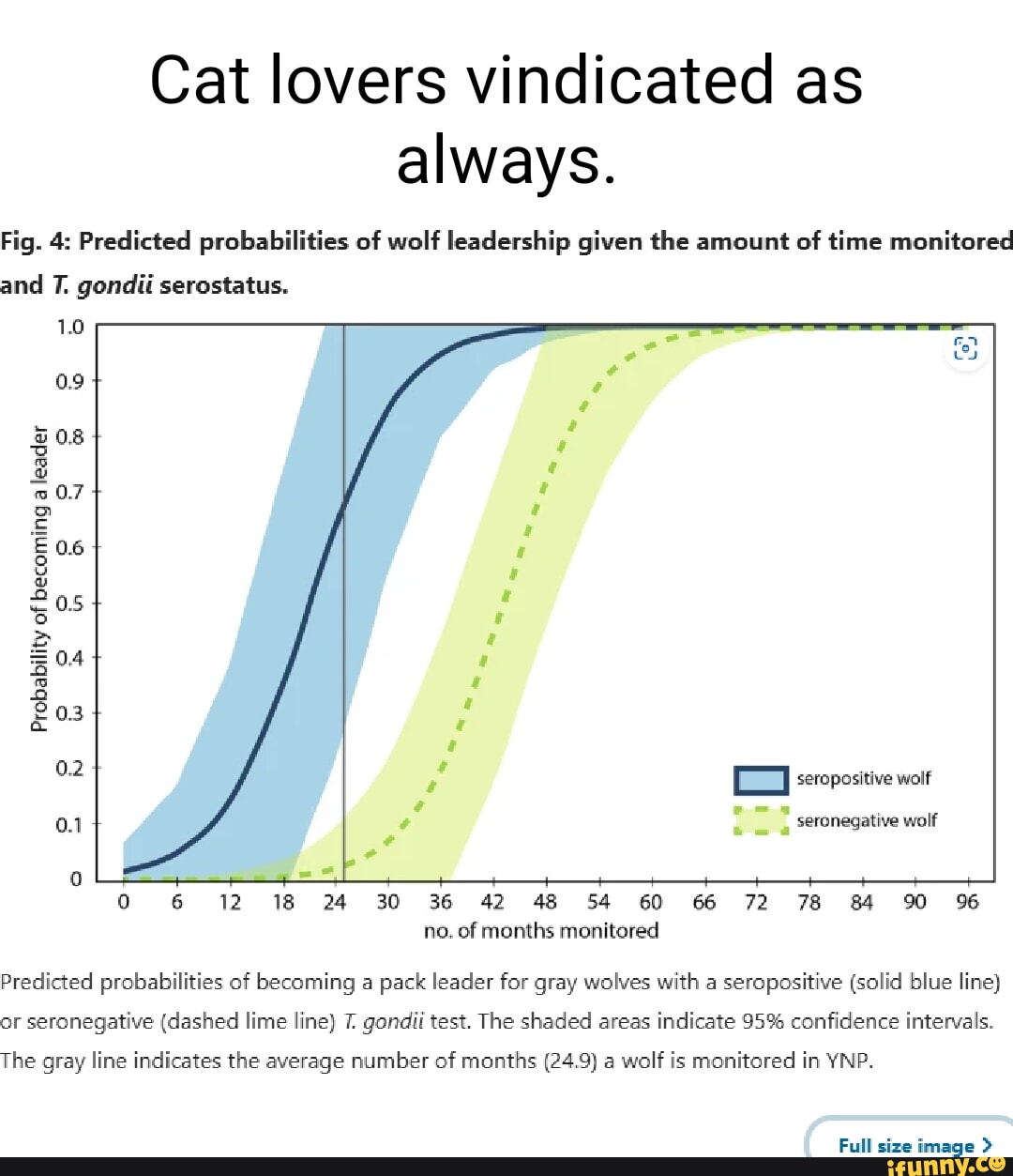 Probability memes. Best Collection of funny Probability pictures on iFunny