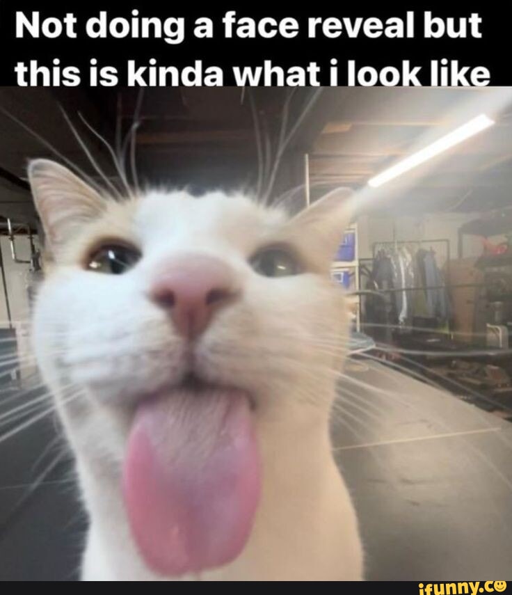 Not doing a face reveal but this is kinda what i look like - iFunny