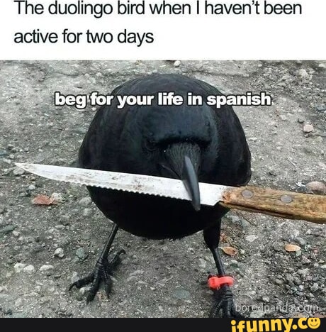 Scorn memes. Best Collection of funny Scorn pictures on iFunny