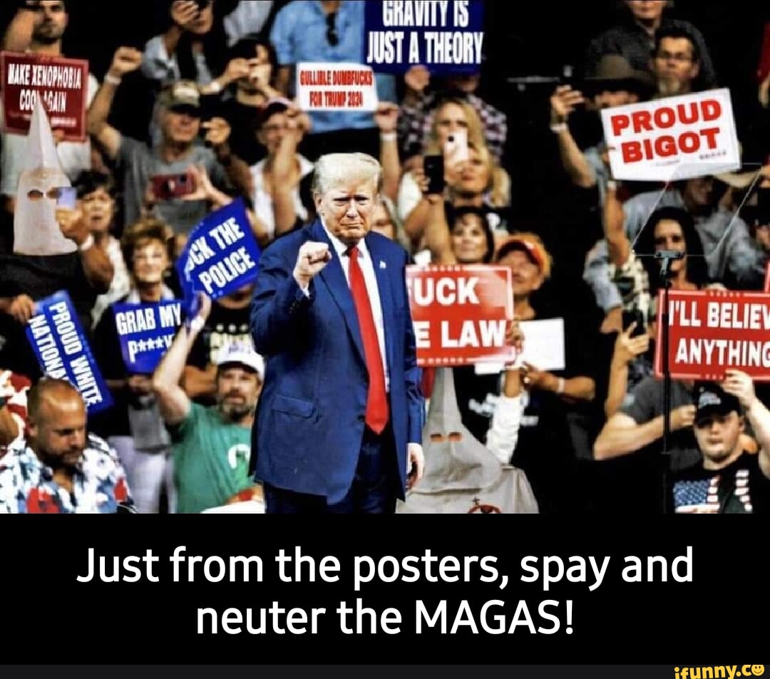 Spay memes. Best Collection of funny Spay pictures on iFunny