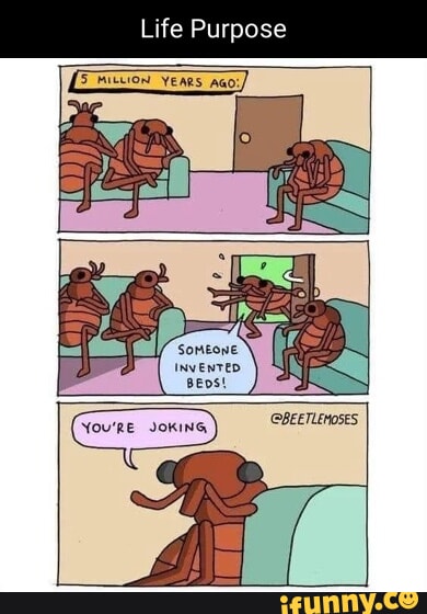 Life Purpose _YEARS AGO! ry - iFunny