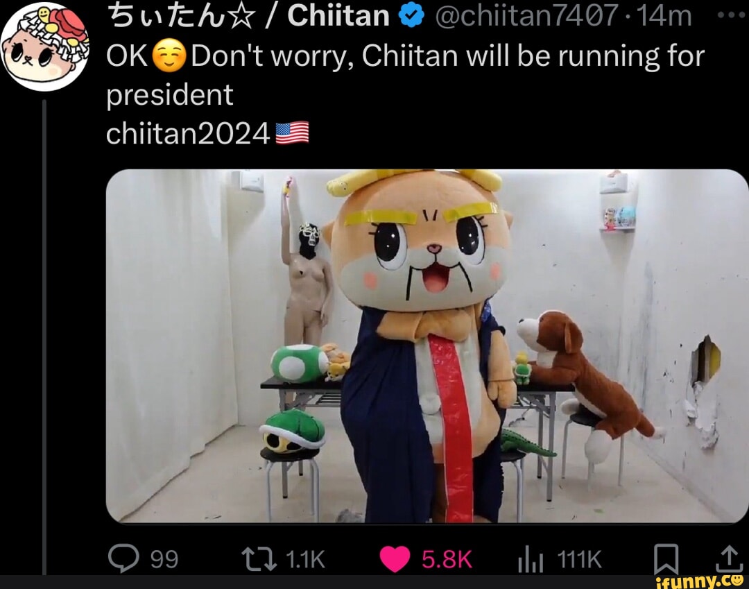 Chiitan OK @ Don't worry, Chiitan will be running for president ...
