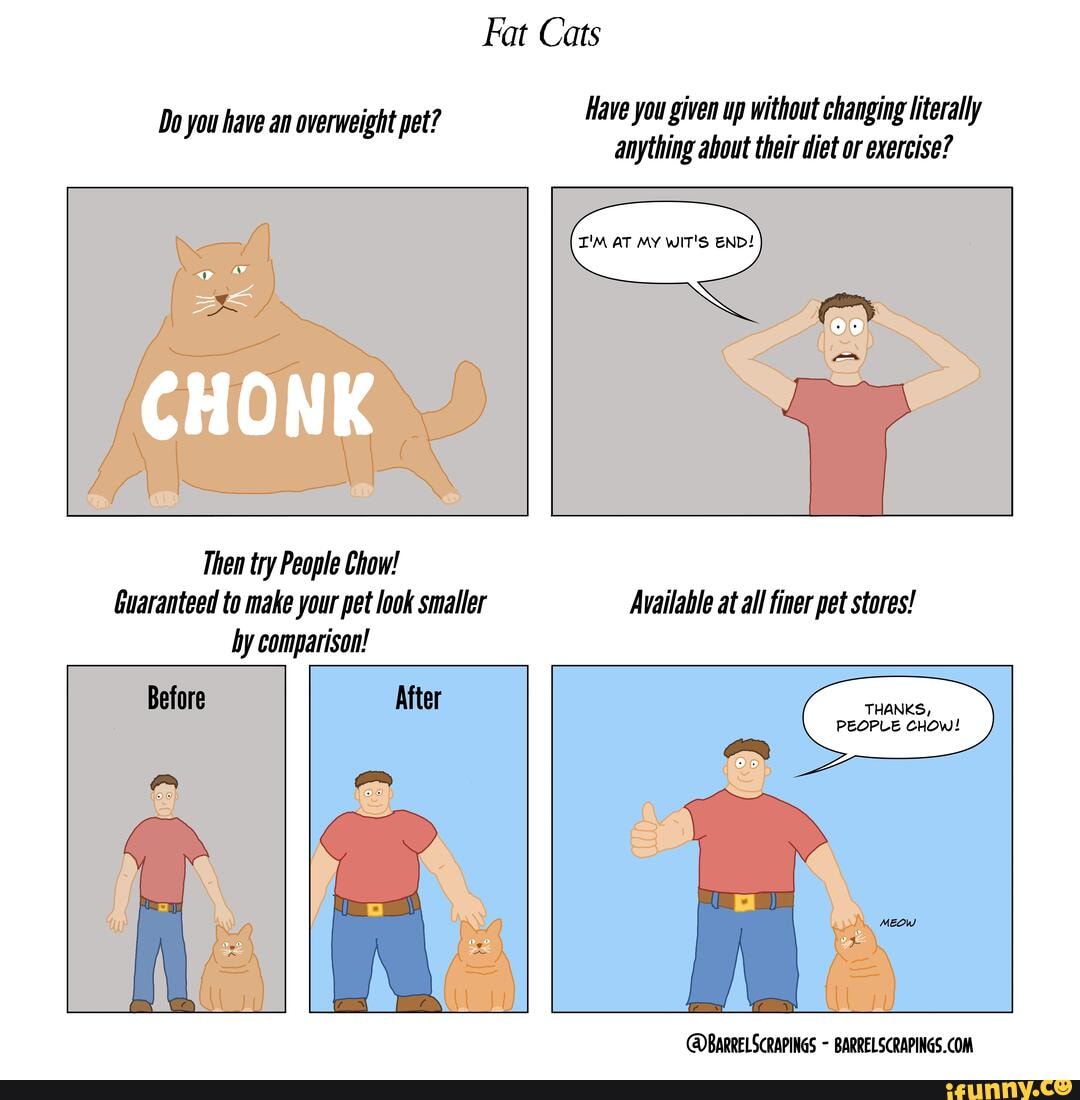Fat Cats Have you given up without changing literally Do you have an ...