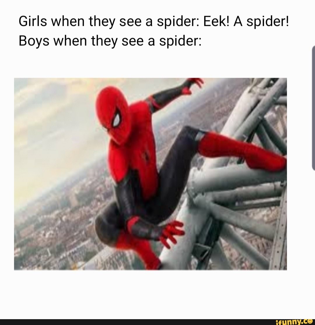 Girls when they see a spider: Eek! A spider! Boys when they see a ...