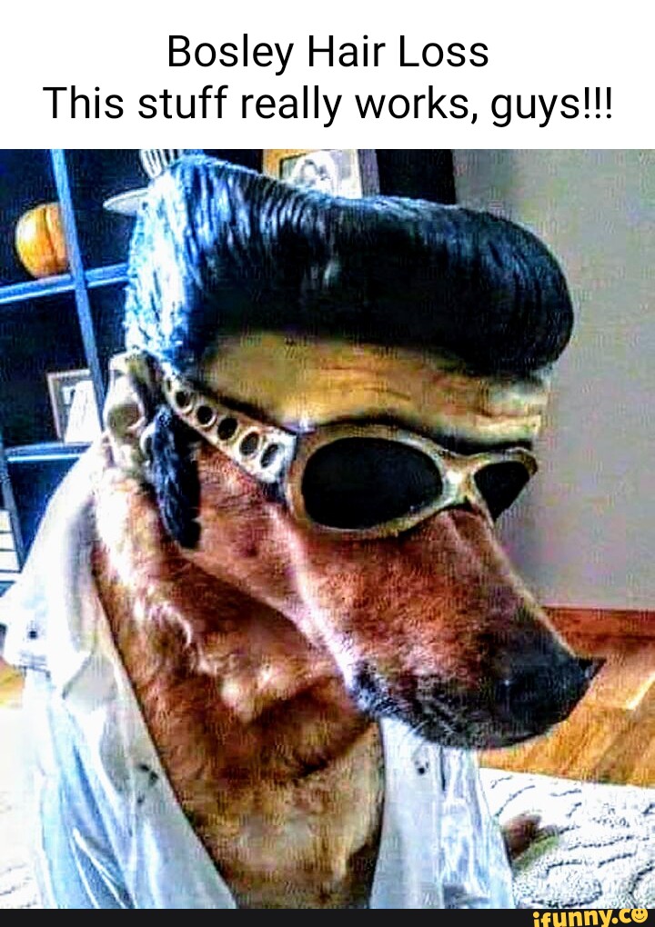 Bosley memes. Best Collection of funny Bosley pictures on iFunny